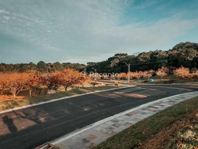 Terreno / Lote para Venda em Gramado/RS Mato Queimado