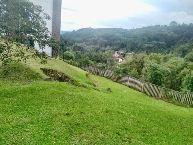 Terreno / Lote para Venda em Gramado/RS Mato Queimado