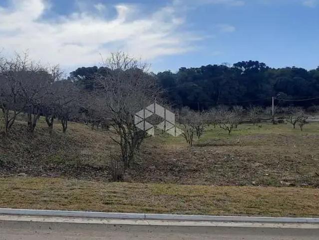 Terreno / Lote para Venda em Gramado/RS Mato Queimado