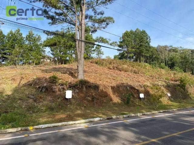 Terreno / Lote para Venda em Gramado/RS Mato Queimado