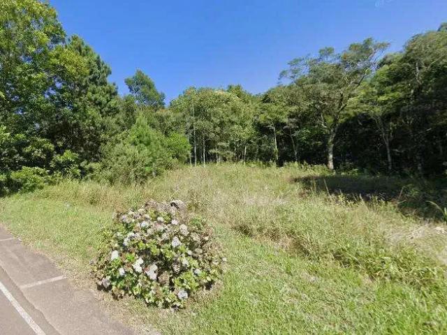 Terreno / Lote para Venda em Gramado/RS Serra Grande