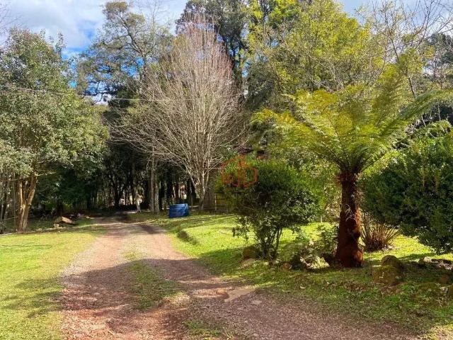 Terreno / Lote para Venda em Gramado/RS Serra Grande