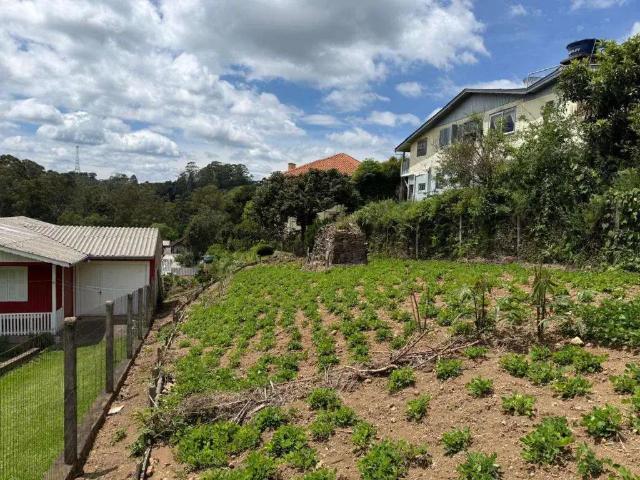Terreno / Lote para Venda em Gramado/RS Pórtico