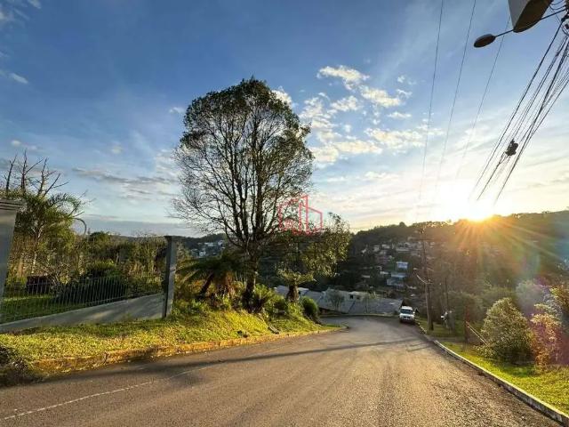 Terreno / Lote para Venda em Gramado/RS Pórtico
