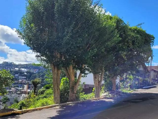 Terreno / Lote para Venda em Gramado/RS Piratini