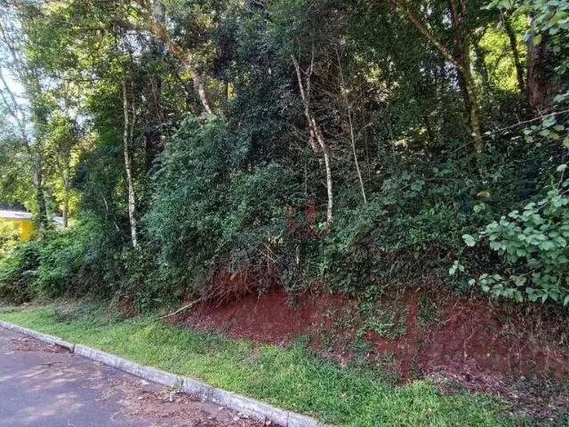 Terreno / Lote para Venda em Gramado/RS Piratini