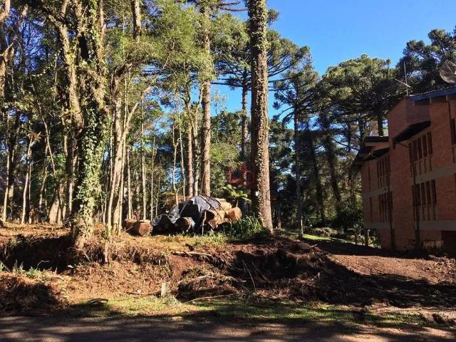 Terreno / Lote para Venda em Gramado/RS Planalto