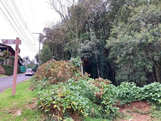 Terreno / Lote para Venda em Gramado/RS Prinstrop