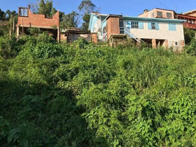 Terreno / Lote para Venda em Gramado/RS Prinstrop