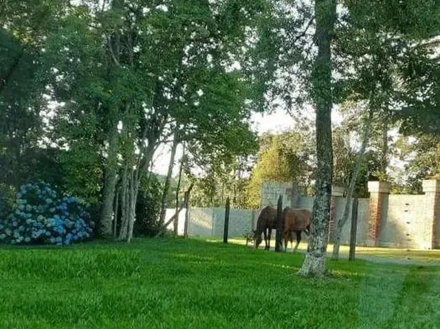 Terreno / Lote para Venda em Gramado/RS Três Pinheiros