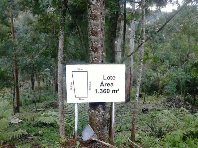 Terreno / Lote para Venda em Gramado/RS Três Pinheiros