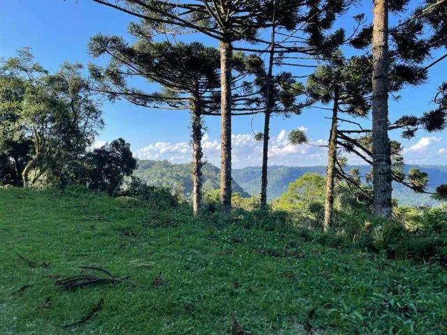 Terreno / Lote para Venda em Gramado/RS Três Pinheiros