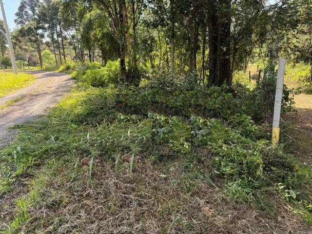 Terreno / Lote para Venda em Gramado/RS Três Pinheiros