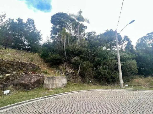 Terreno / Lote para Venda em Gramado/RS Vale das Colinas