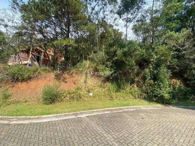 Terreno / Lote para Venda em Gramado/RS Vale das Colinas