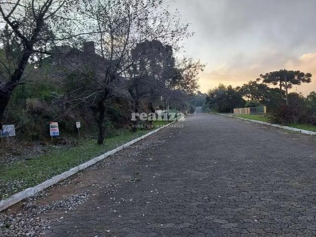 Terreno / Lote para Venda em Gramado/RS Vale das Colinas