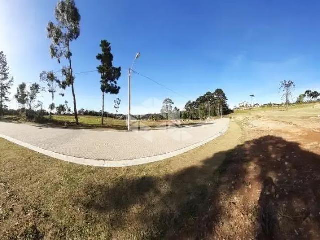Terreno / Lote para Venda em Gramado/RS Vale das Colinas