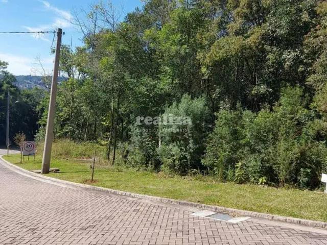 Terreno / Lote para Venda em Gramado/RS Vale das Colinas