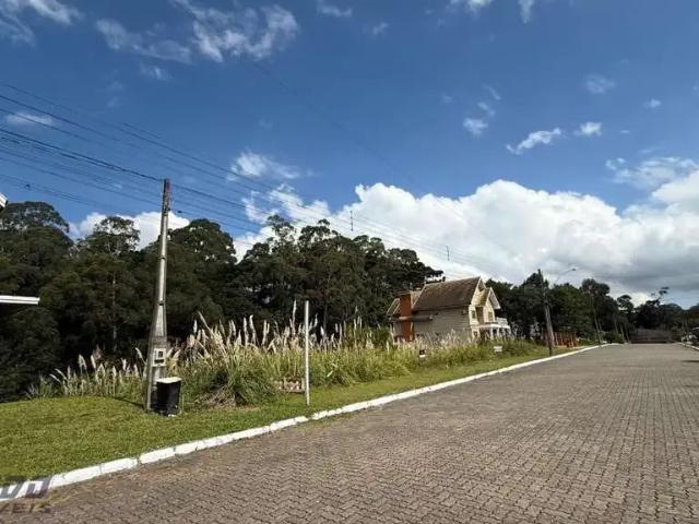 Terreno / Lote para Venda em Gramado/RS Vale das Colinas