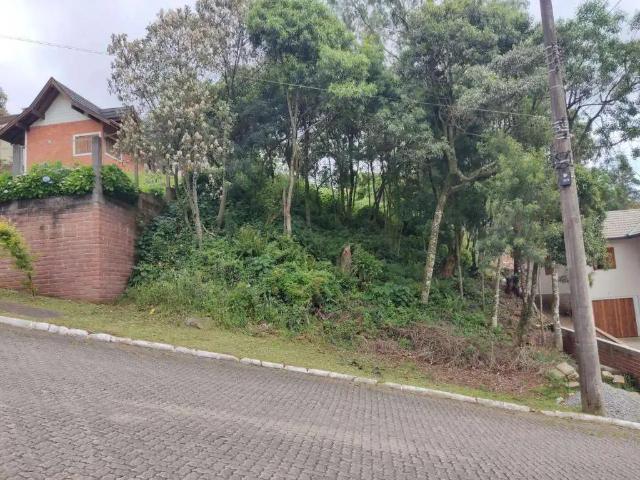 Terreno / Lote para Venda em Gramado/RS Vale das Colinas