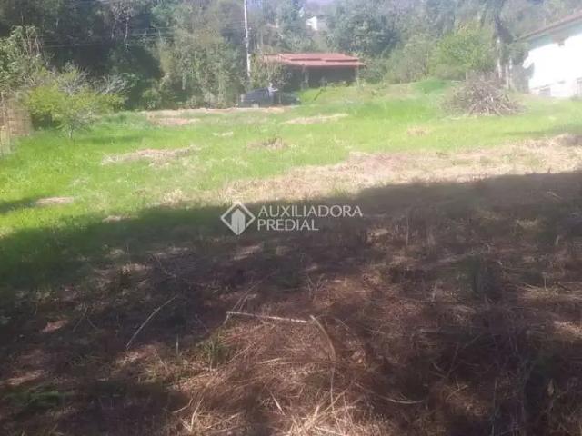Terreno / Lote para Venda em Gramado/RS Vale dos Pinheiros
