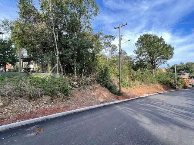 Terreno / Lote para Venda em Gramado/RS Vale dos Pinheiros