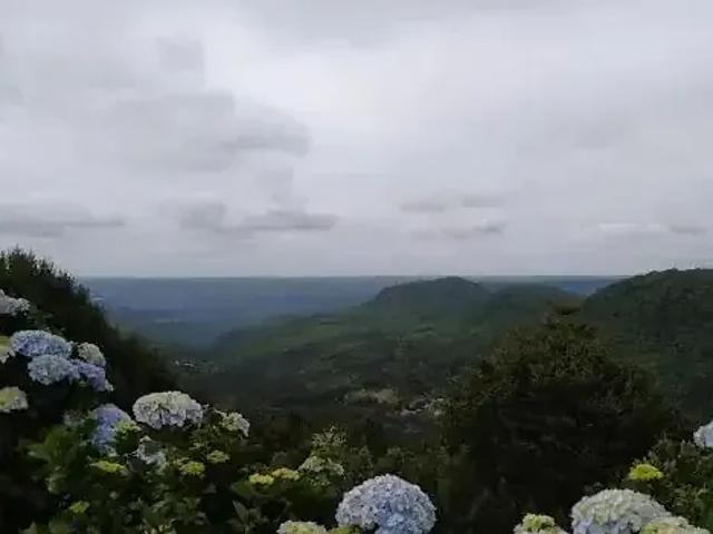 Terreno / Lote para Venda em Gramado/RS Vale dos Pinheiros