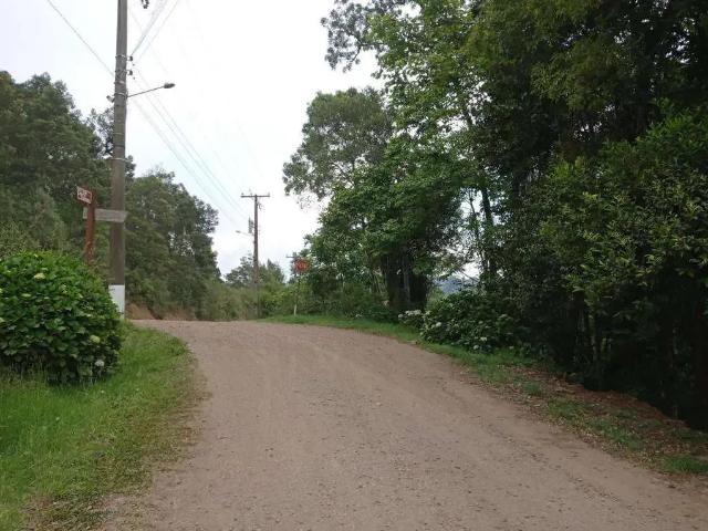 Terreno / Lote para Venda em Gramado/RS Vale dos Pinheiros