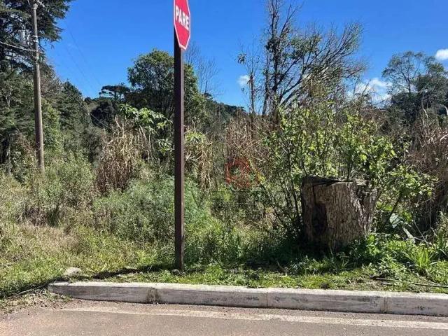 Terreno / Lote para Venda em Gramado/RS Vale dos Pinheiros