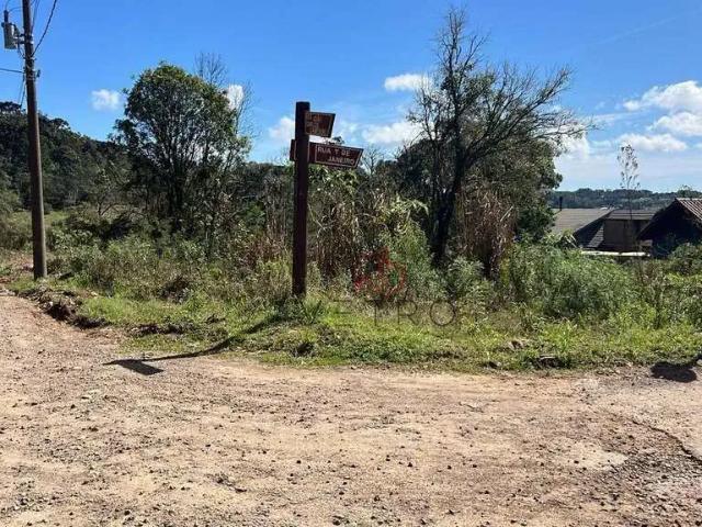 Terreno / Lote para Venda em Gramado/RS Vale dos Pinheiros