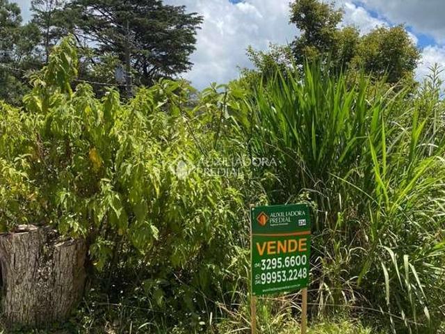 Terreno / Lote para Venda em Gramado/RS Vale dos Pinheiros