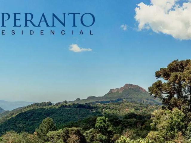 Terreno / Lote para Venda em Gramado/RS Várzea Grande 1º de Maio