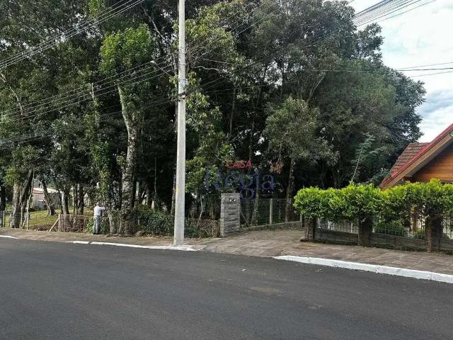 Terreno / Lote para Venda em Gramado/RS Várzea Grande 1º de Maio