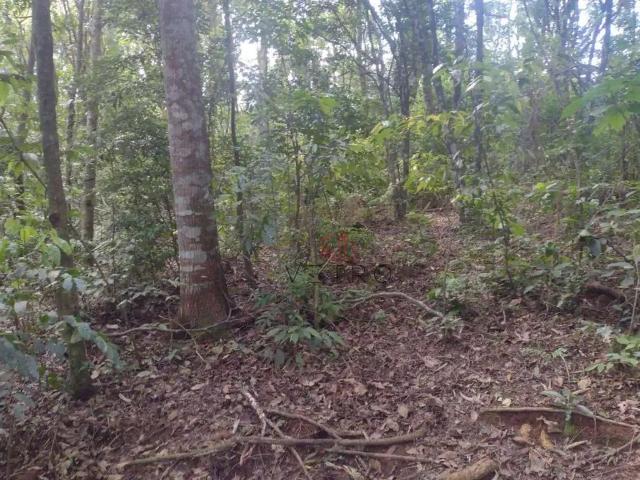 Terreno / Lote para Venda em Gramado/RS Várzea Grande 1º de Maio