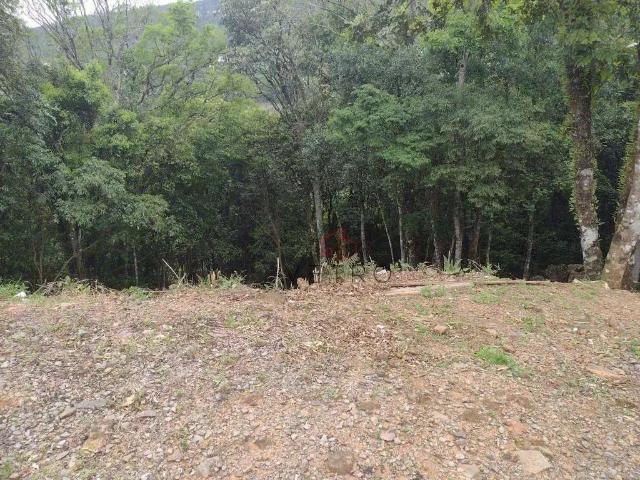 Terreno / Lote para Venda em Gramado/RS Várzea Grande 1º de Maio