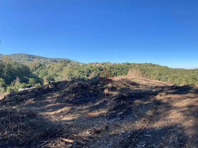 Terreno / Lote para Venda em Gramado/RS Várzea Grande 1º de Maio