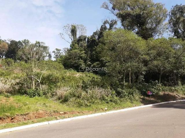 Terreno / Lote para Venda em Gramado/RS Várzea Grande 1º de Maio