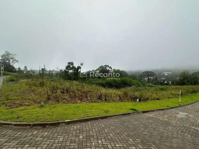 Terreno / Lote para Venda em Gramado/RS Várzea Grande 1º de Maio