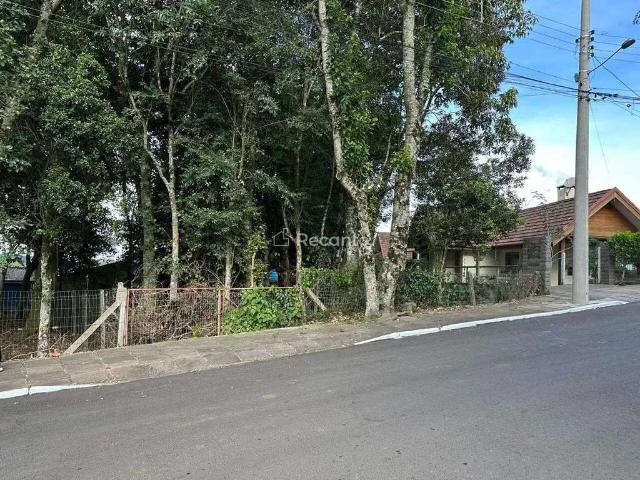 Terreno / Lote para Venda em Gramado/RS Várzea Grande 1º de Maio