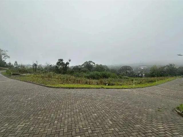 Terreno / Lote para Venda em Gramado/RS Várzea Grande 1º de Maio