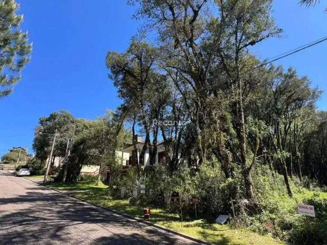 Terreno / Lote para Venda em Gramado/RS Vivendas do Arvoredo