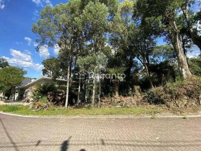 Terreno / Lote para Venda em Gramado/RS Vivendas do Arvoredo
