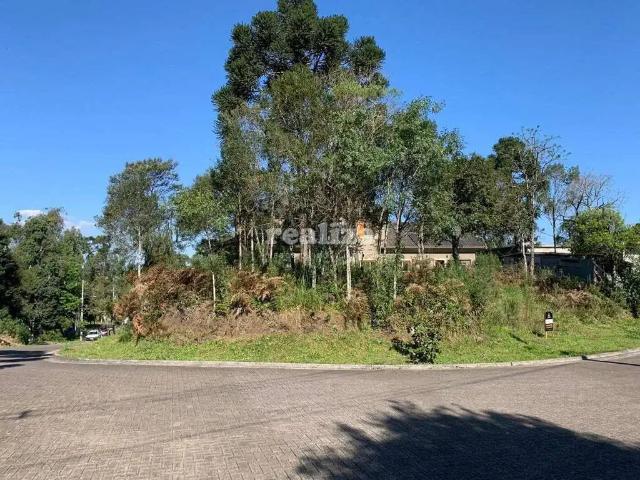 Terreno / Lote para Venda em Gramado/RS Vivendas do Arvoredo
