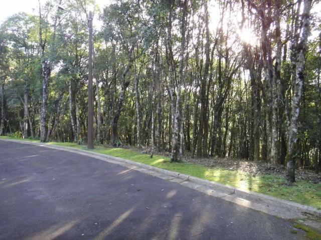 Terreno / Lote para Venda em Gramado/RS Vila Nova de Gaia