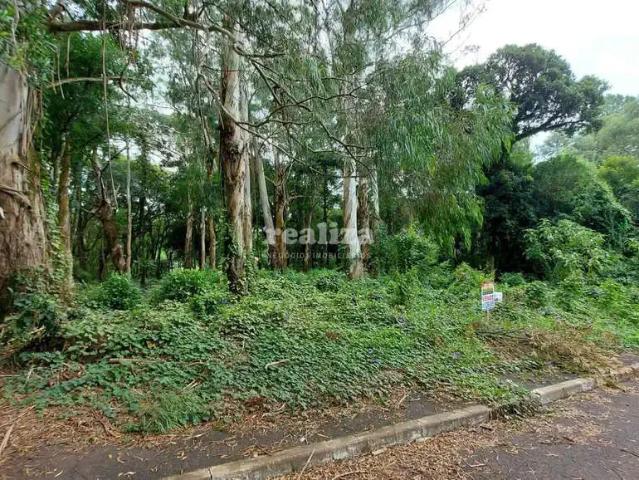 Terreno / Lote para Venda em Gramado/RS Vila Suiça