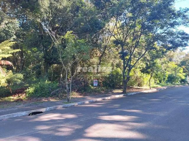 Terreno / Lote para Venda em Gramado/RS Vila Suiça