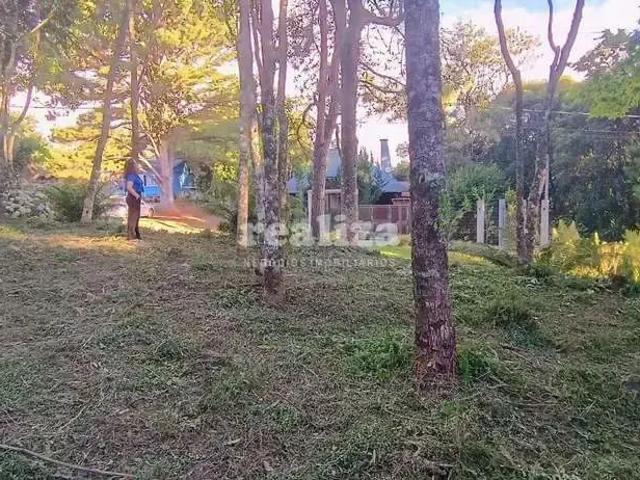 Terreno / Lote para Venda em Gramado/RS Villagio