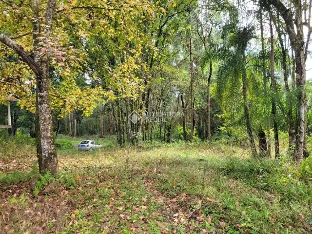 Terreno / Lote para Venda em Gramado/RS Área Rural de Gramado
