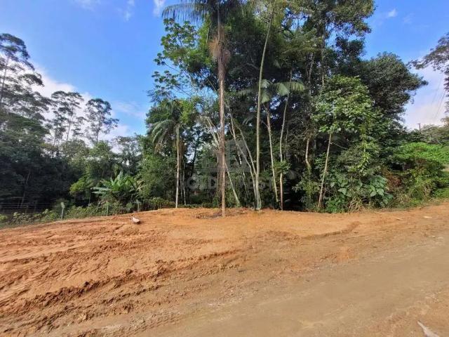 Terreno / Lote para Venda em Guabiruba/SC Aimoré
