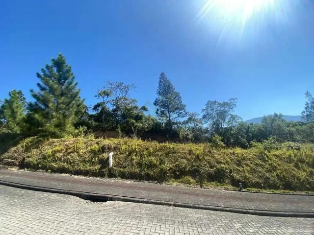 Terreno / Lote para Venda em Guabiruba/SC Aimoré